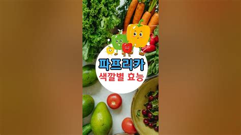 파프리카 색깔별 효능 Youtube