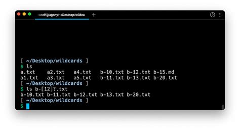 How To Use Linuxunix Wildcards 6 Examples Of Warp
