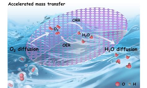 Hierarchically Porous Two Dimensional Fen Codoped Carbon Nanoleaves For Enhanced Mass Transfer
