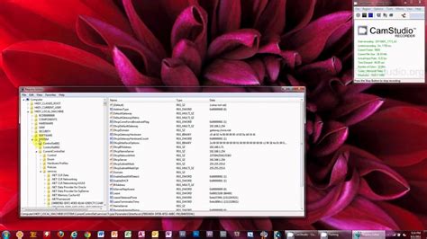 How To Disable Nagle Youtube