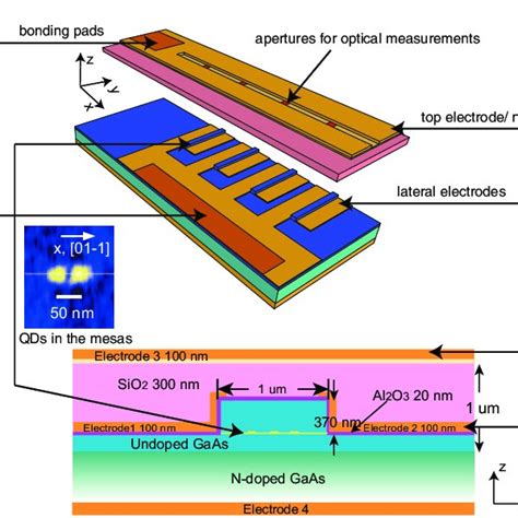 Color Online Schematic Diagram Of Electrode Device Design In Download Scientific Diagram