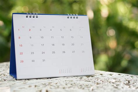 데스크톱 달력 나무 사무실 책상에 2019 장소 시간표 의제 약속 조직 테이블에 각 날짜 월 및 년 관리를 만들기 위해 플래너를 위한 캘린더 달력 배경 개념입니다 2019