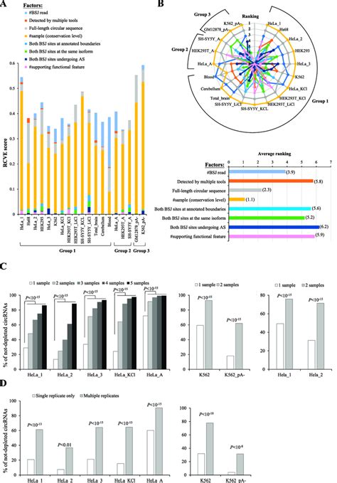 Assessment Of Relative Influence Of Each Individual Factor On Circrna Download Scientific