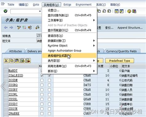 Abap数据字典abap数据字典的对象 Csdn博客
