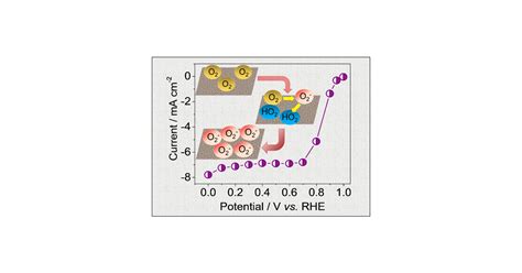 In Situ Spectroscopy Study Of Oxygen Reduction Reaction Intermediates At The Pt Acid Interface