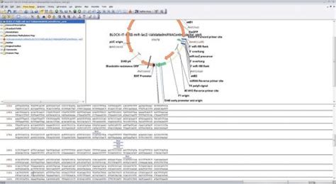 Vector Nti Advance 11 0 Download Free Vector Nti 10 Exe