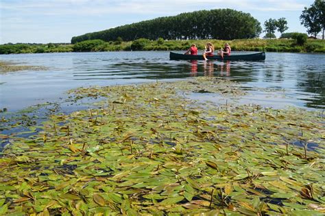 Process Oriented Nature Conservation Ark Rewilding Nederland
