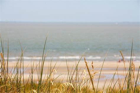 Beach North Sea Grass Free Photo On Pixabay Pixabay