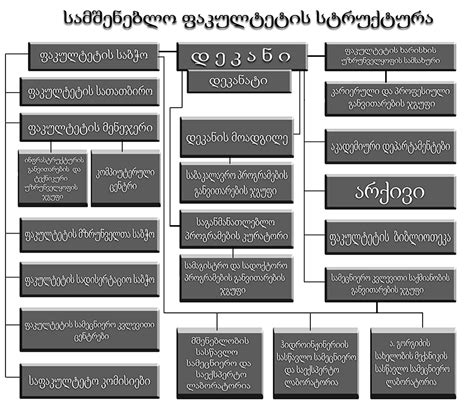 ორგანიზაციული სტრუქტურა სამშენებლო ფაკულტეტი