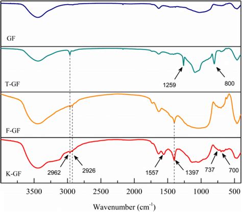 Ftir Spectra Of Gf And Modified Gf Download Scientific Diagram
