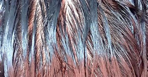 Wet Vs Dryshould I Be Concerned Album On Imgur