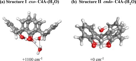 A Optimized Structures Of The Exo Structure I And Endo Isomers Download Scientific Diagram
