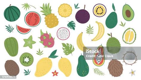 조각과 반쪽 클립 아트와 벡터 열대 과일과 열매 정글 단풍 그림입니다 흰색 배경에 고립 된 손으로 그린 평면 이국적인 식물 밝은 유치한 건강한 여름 음식 일러스트레이션입니다