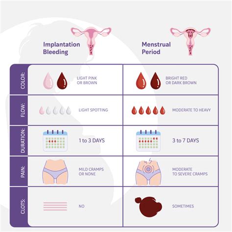Implantation Bleeding What It Is And How To Identify It Nascere