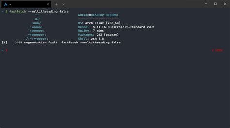 Segmentation Fault · Issue 83 · Fastfetch Clifastfetch · Github