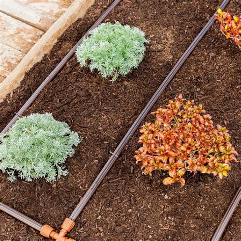 Продажба и изграждане на поливни системи поливни системи