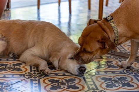 When Dicky Started With Us All He Told Us Was That He Could Build Websites Which He Does