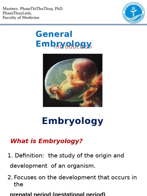 Overview Of Human Embryology Pdf Reproductive System
