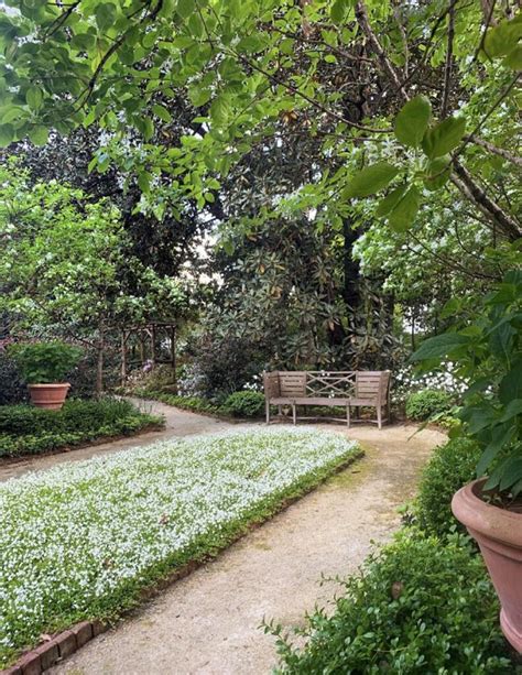 The Duke Mansion A Royal Garden For The Queen City Dream Garden