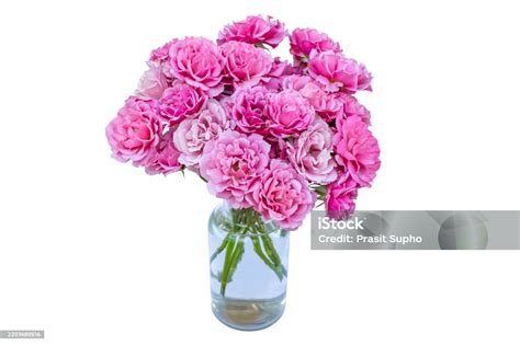 클리핑 경로가있는 흰색 배경에 신선한 분홍색 또는 보라색 장미로 채워진 투명 유리 병 꽃병 발렌타인 데이 로맨틱 컨셉입니다 로맨틱한 현수막 청첩장 또는 인사말을 위한 디자인