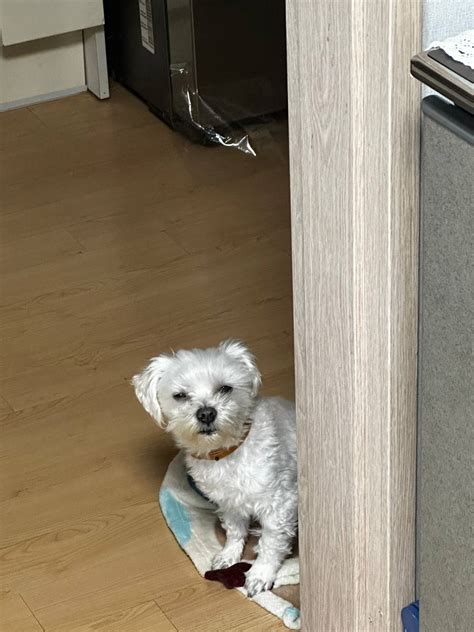 2025 Skt 유심 해킹 집단소송 지금 꼭 알아야 할 참여 가이드