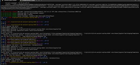 Jupyter Lab Build Failures Under Wsl Shutilerror Errno 13 Permission
