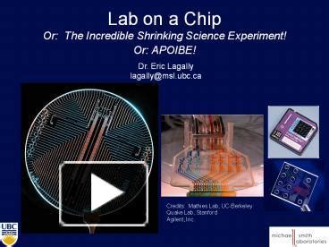 Lab On A Chip Presentation Free To Download
