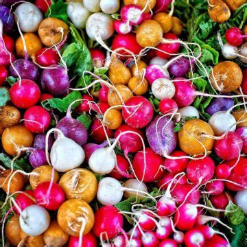 The Difference Between Turnip Vs Radish West Coast Kitchen Garden