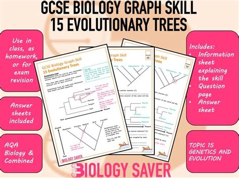 Gcse Biology Graph Skill 15 Evolutionary Trees Teaching Resources