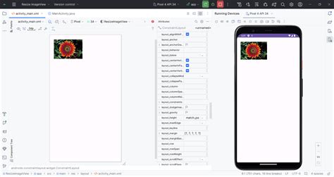 How To Programmatically Resize Imageview Setlayoutparams To Match