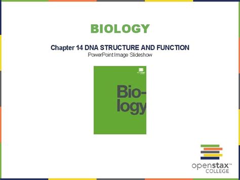 BIOLOGY Chapter 14 DNA STRUCTURE AND FUNCTION Power