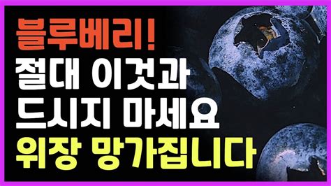 블루베리와 이것 같이 먹으면 위장 다 망가지고 영양소 파괴됩니다 블루베리 건강하게 먹는 방법 알려드려요 같이 먹으면 안되는 음식 블루베리 냉동 냉장의 영양소