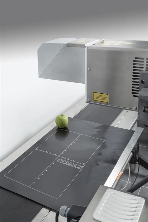 Laser Coding For Tracing Raymax Lasers