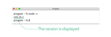 Nodejs Environment Setup Macos Progate Learn To Code Learn To