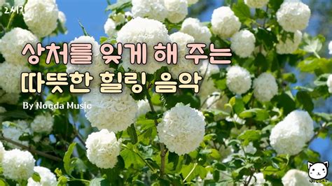 상처를 잊게 해 주는 음악 ♡ 마음의 치유에 도움이 되는 음악 ・ 커피 마시면서 듣기 좋은 음악 ・ 힐링음악 ・ 카페음악