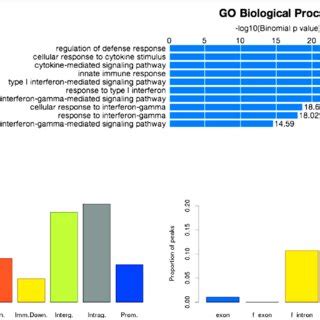Motif Enrichment Analysis A Stat Consensus Sequence Ttcnnngaa Download Scientific Diagram