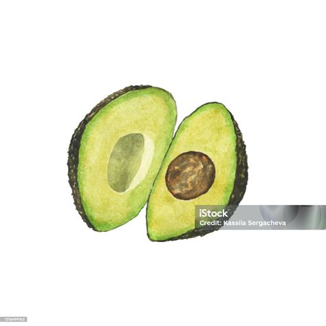 아보카도는 흰색 배경에 고립 된 씨앗으로 슬라이스 수채화 손 그리기 그림 메뉴 디자인 또는 인쇄를위한 건강한 음식 0명에 대한 스톡 벡터 아트 및 기타 이미지 Istock
