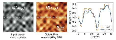 Neural Lithography
