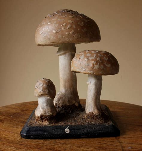 Decorative Toadstool Mushroom Model Teaching Aid In Misc
