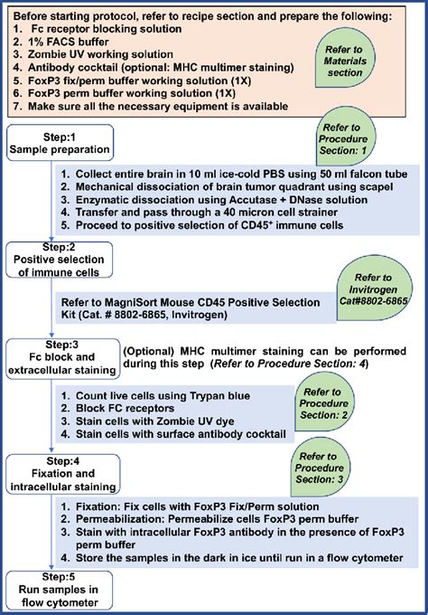 Facs Fixation Buffer Recipe Besto Blog Facs Fixation Buffer Recipe Besto Blog