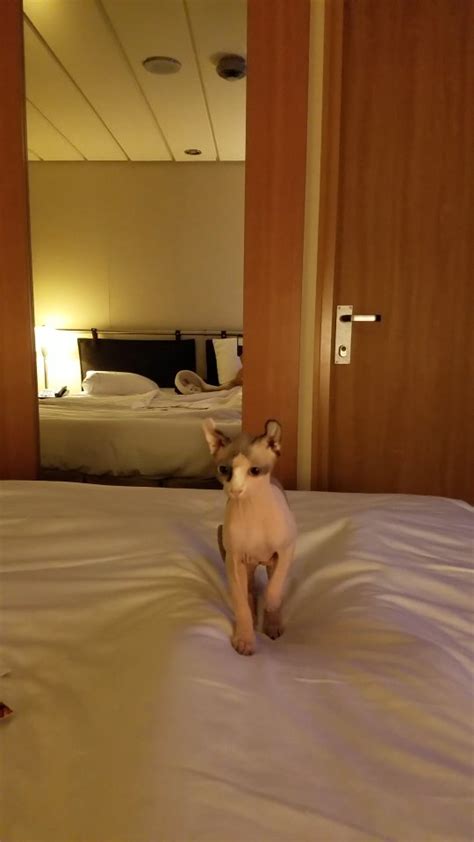 Throwback To You Becoming An Anchoring Expert During The Pandemic ⚓️