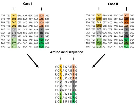 Etai Jacob Phd Correlated Mutation Analysis