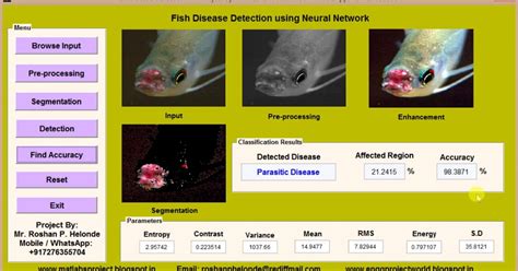 Matlab Code For Fish Disease Detection Using Neural Network ENGINEERING PROJECTS