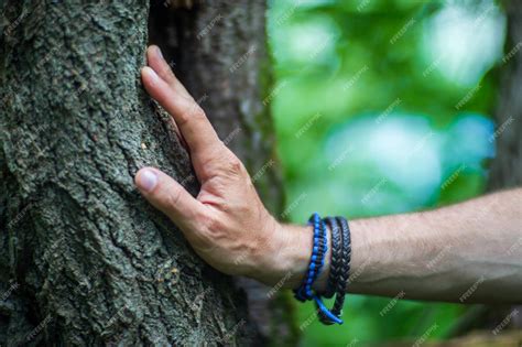 La Main Dun Homme Touche Le Gros Plan Du Tronc De Larbre Bois D