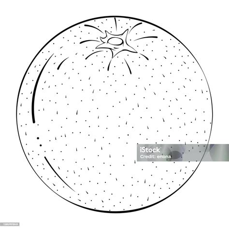 Whole Orange Line Art Stock Illustration Download Image Now Art