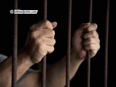 What Are Types Of Crimes Top 5 Best Felony Offenses