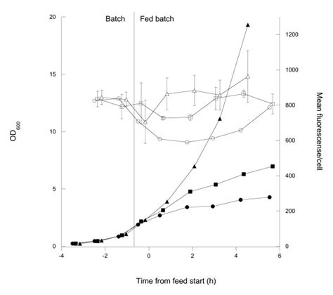 Fed Batch Cultivation Progress Of Cell Growth And Surface Expression Download Scientific