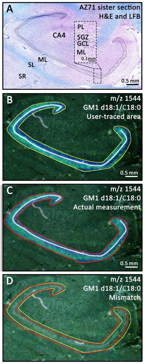 Mismatch Between User Defined Area And Actual Area Used For Data Download Scientific Diagram
