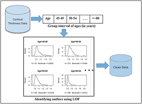 Frontiers Biological Brain Age Prediction Using Cortical Thickness Data A Large Scale Cohort