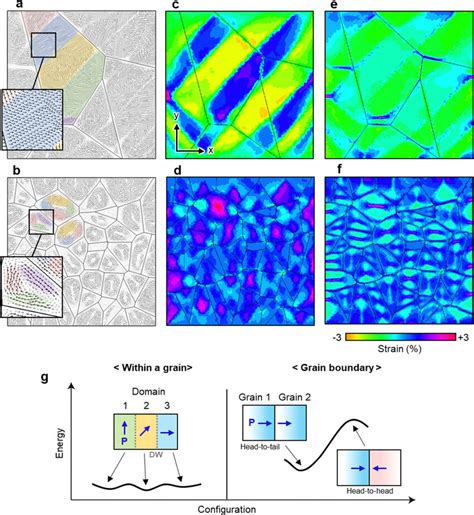 Phase Field Calculations Showing Grain Size Dependence Of Ferroelectric Download Scientific